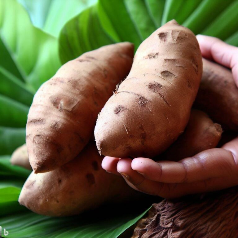 Benefícios do Inhame - Guia das Suculentas